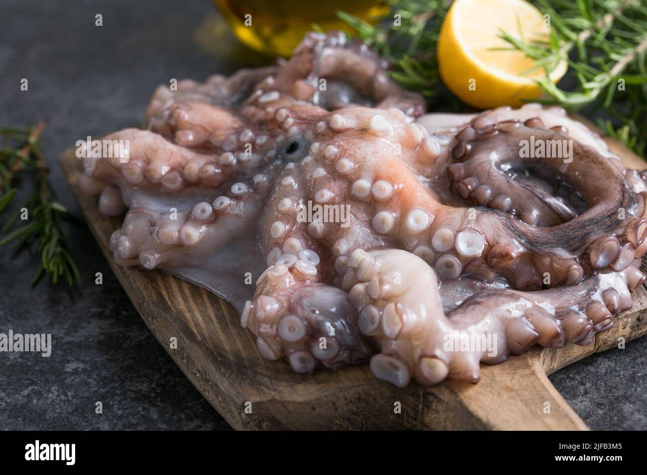 Octopus. Creative concept of healthy food with photos of delicious ...