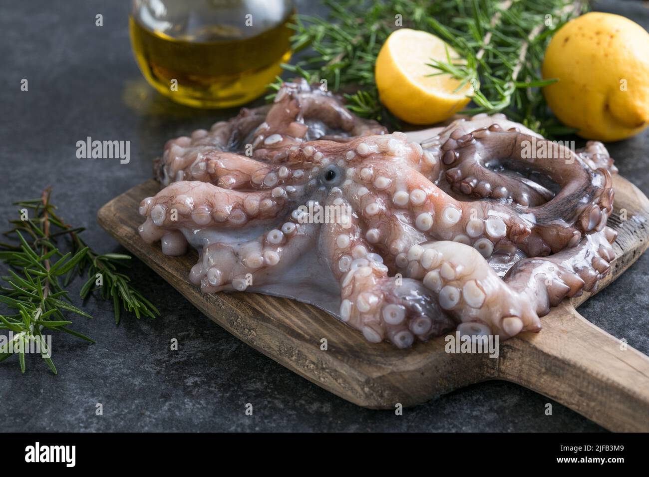 Octopus. Creative concept of healthy food with photos of delicious ...