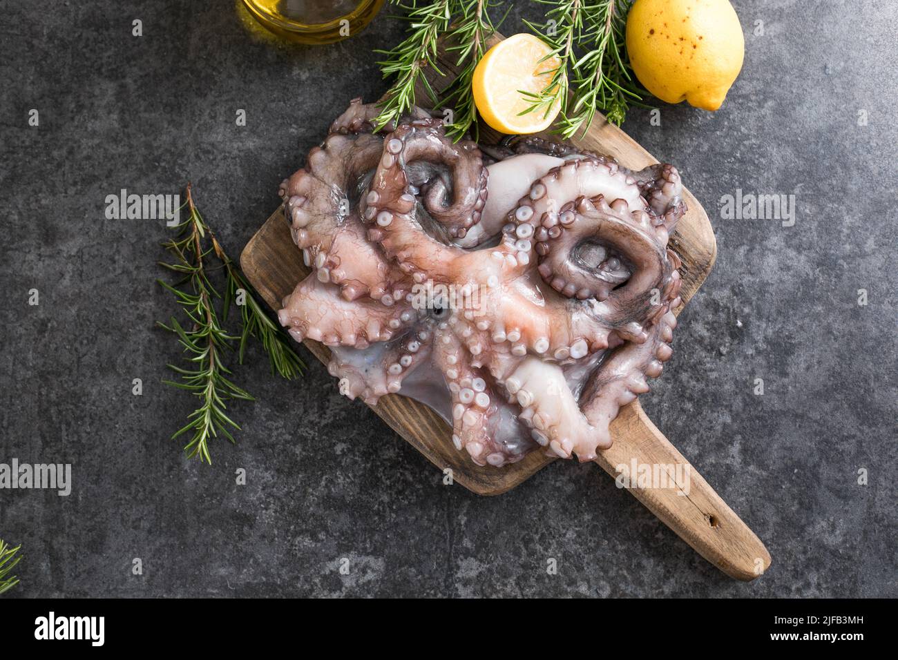 Octopus. Creative concept of healthy food with photos of delicious ...