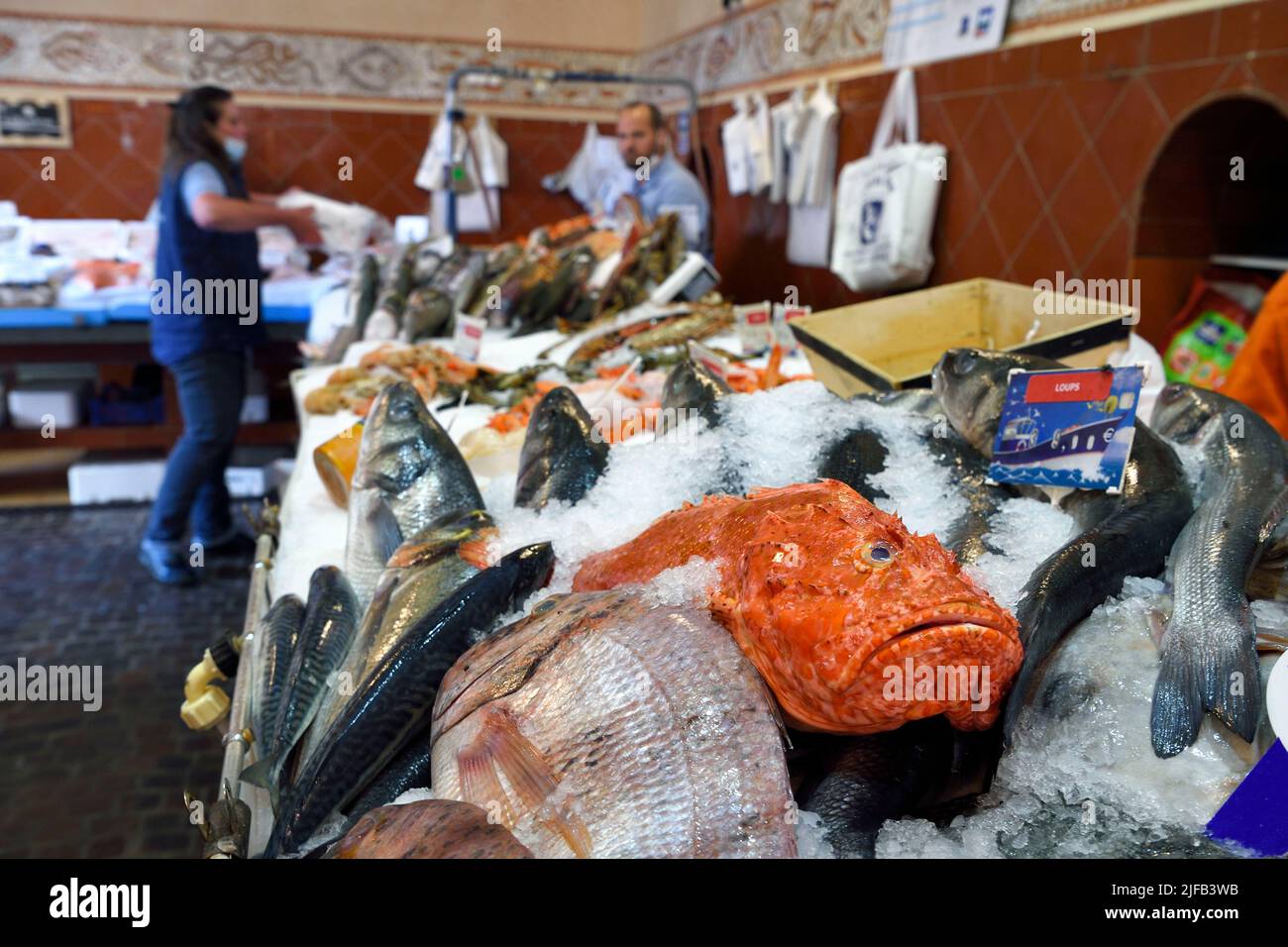 France, Var, Saint Tropez, fish market, lionfish on the stall Stock ...