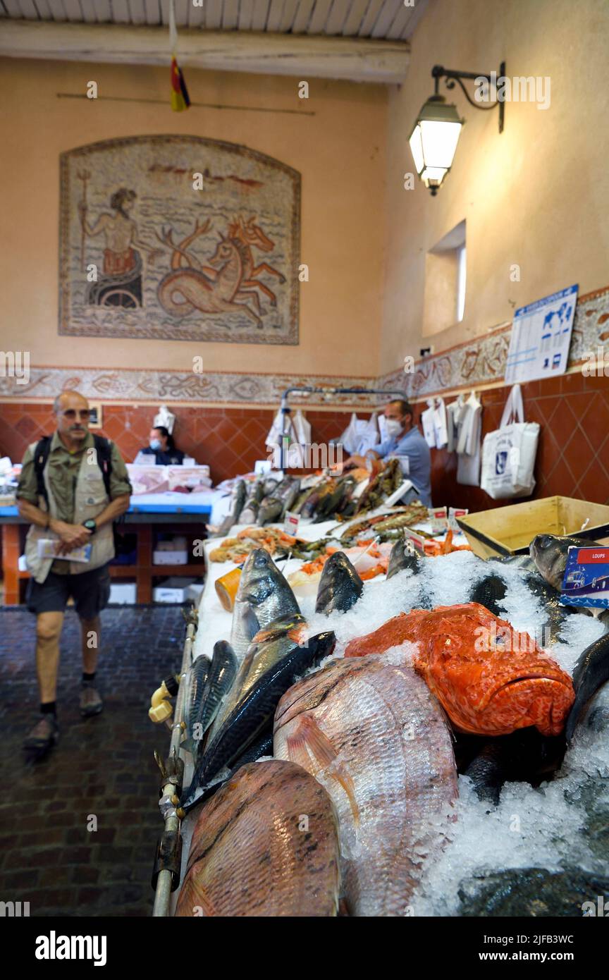 France, Var, Saint Tropez, fish market, lionfish on the stall Stock ...
