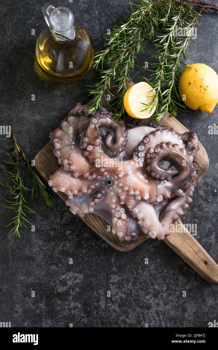 Octopus. Creative concept of healthy food with photos of delicious ...