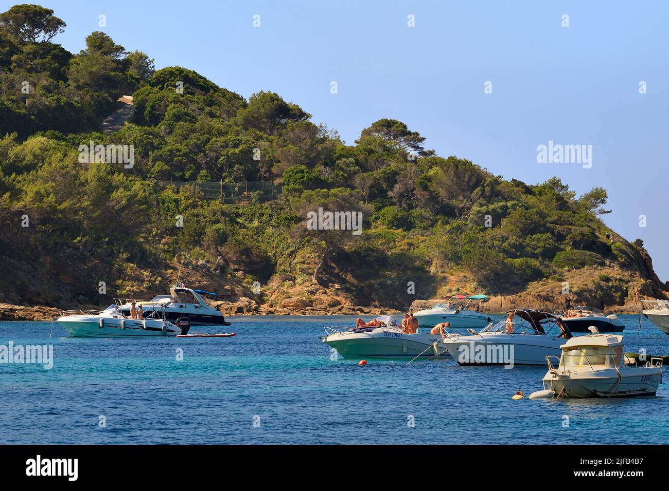 France, Var, Iles d'Hyeres, Parc national de Port Cros (National park ...
