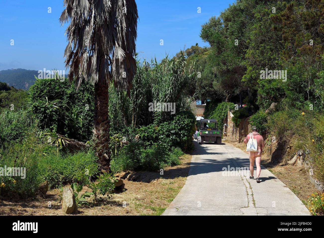 France, Var, Iles d'Hyeres, Parc national de Port Cros (National park ...