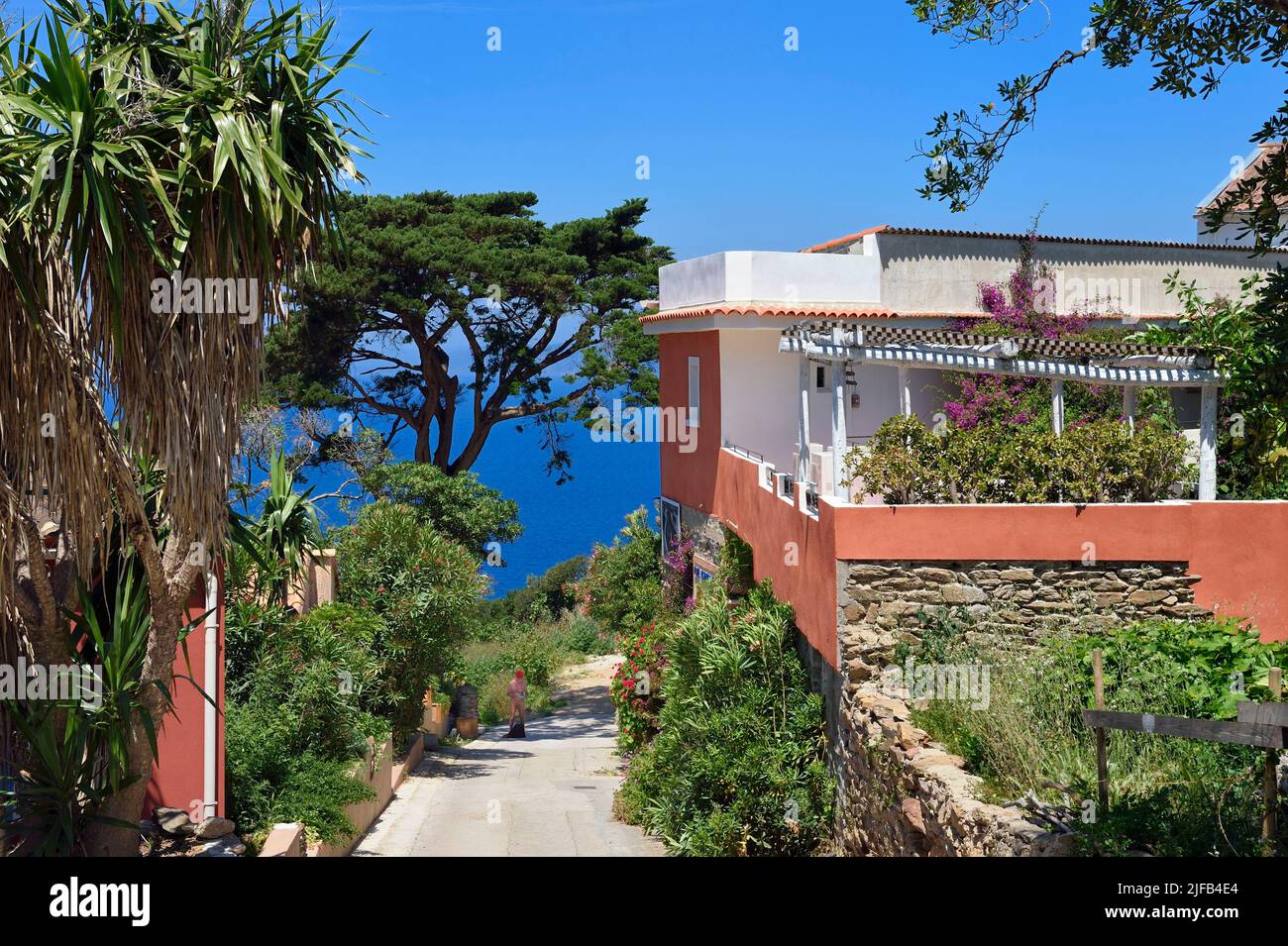 France, Var, Iles d'Hyeres, Parc national de Port Cros (National park ...