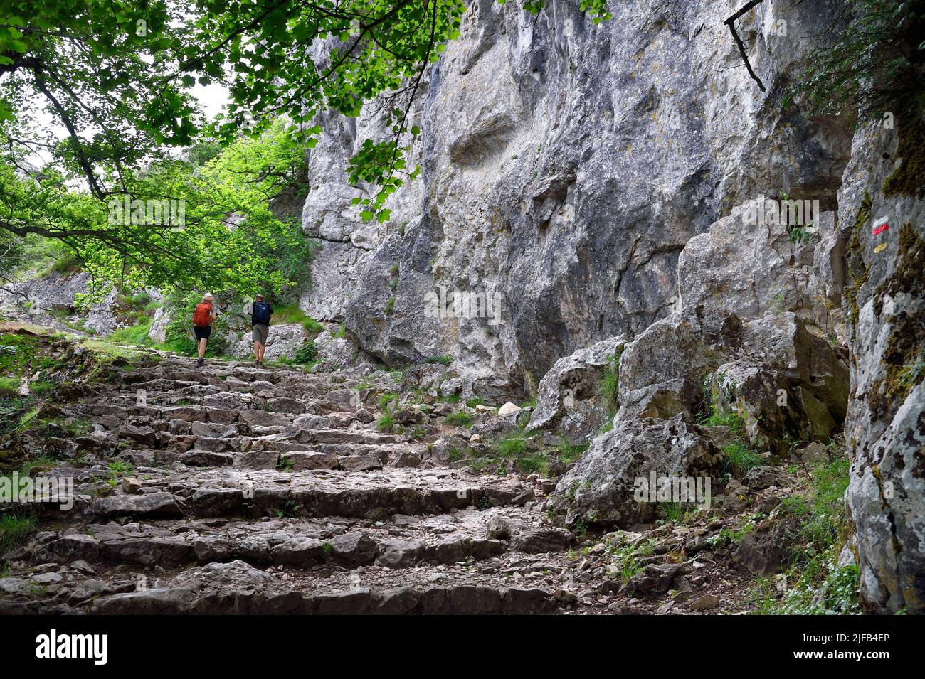 France, Var, Plan d'Aups Sainte Baume, Sainte-Baume Regional Nature ...