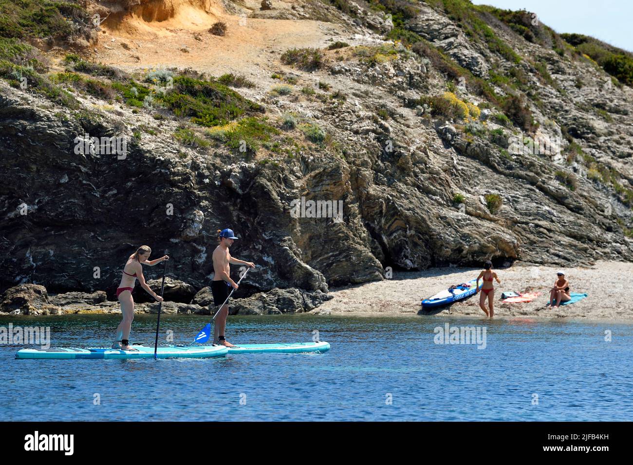 France, Var, Six Fours les Plages, Ile des Embiez, cape Saint Pierre ...