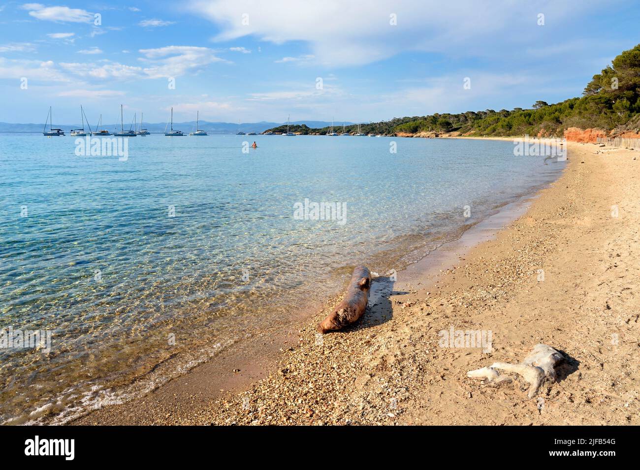 France, Var, Iles d'Hyeres, Parc National de Port Cros (National park ...