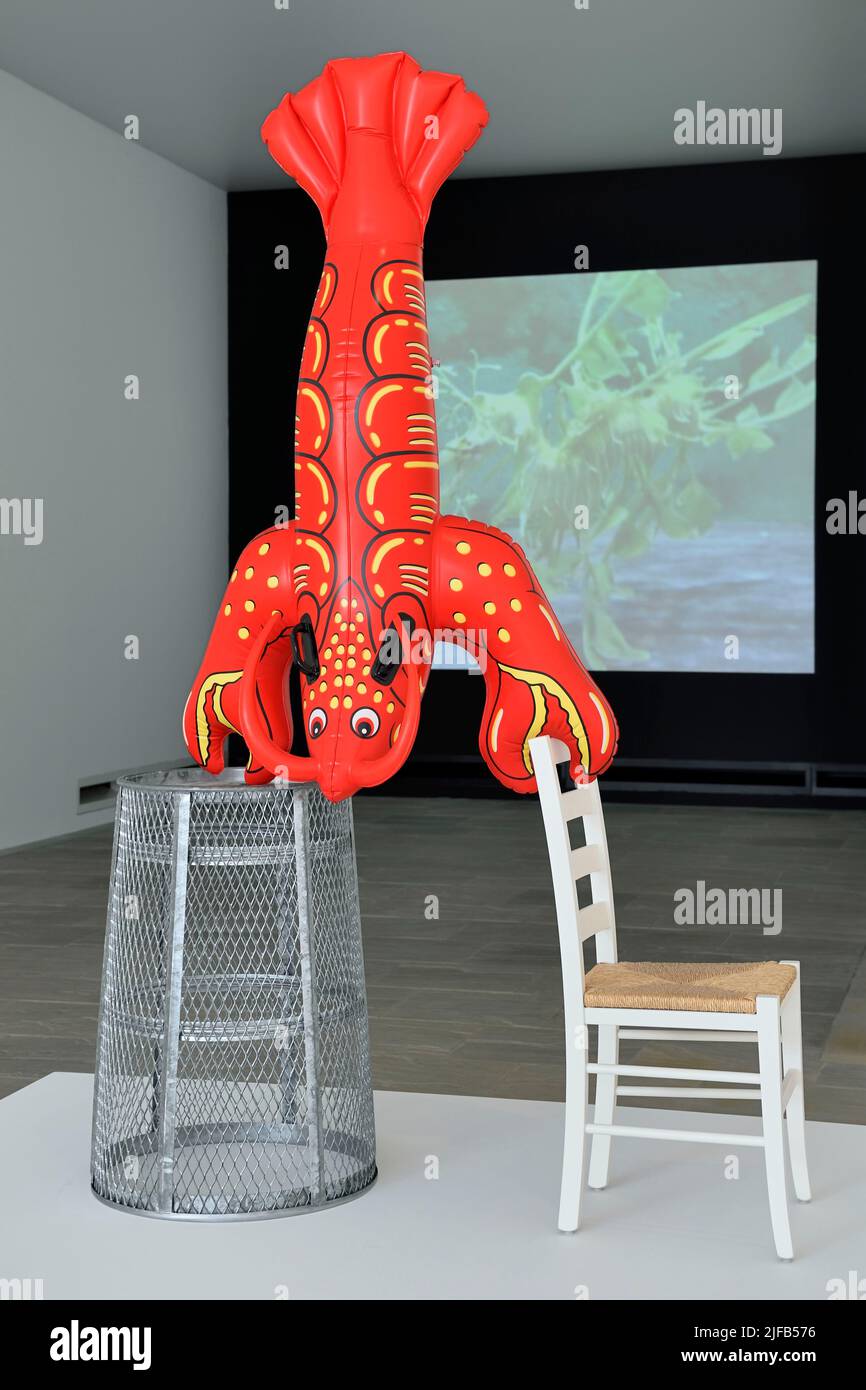 France, Var, Iles d'Hyeres, Parc National de Port Cros (National park ...