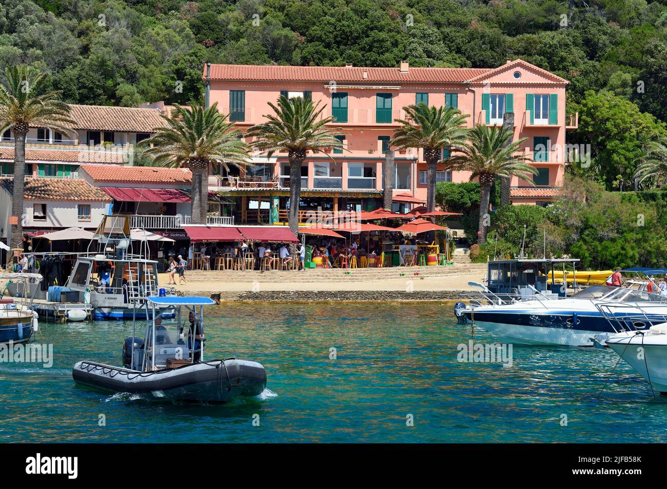 France, Var, Iles d'Hyeres, Parc National de Port Cros (National park ...