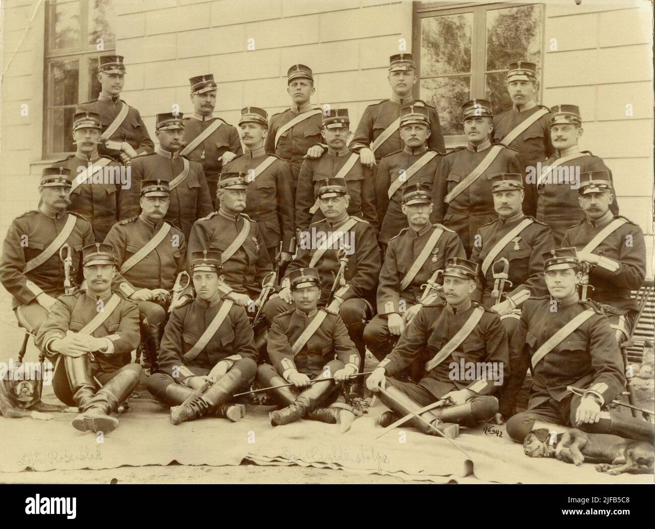 Group portrait of officers at the Life Regiment's dragons K 2 Stock ...
