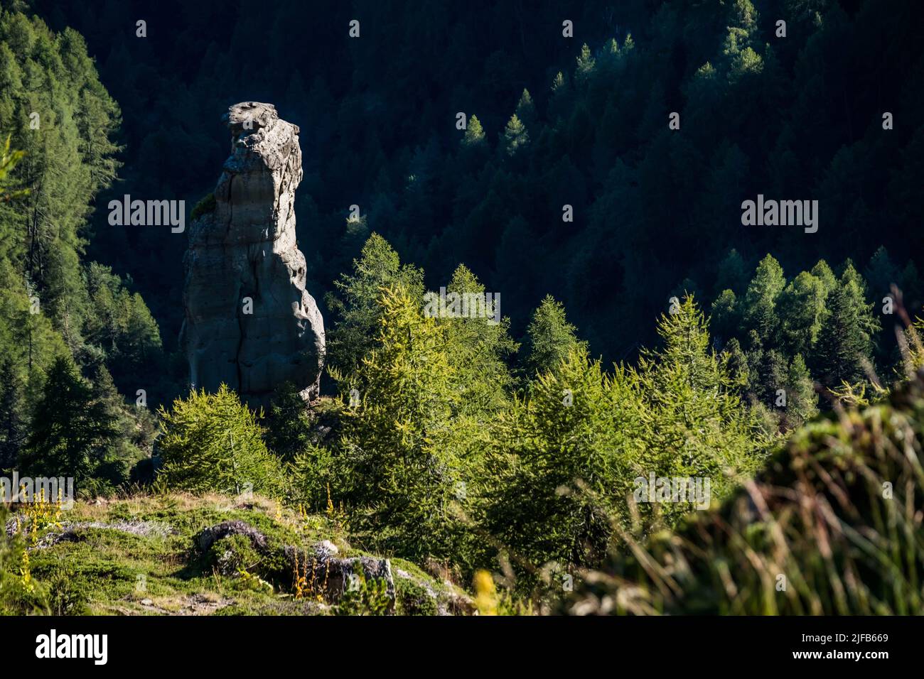 France, Hautes-Alpes, Champsaur valley, village of Saint-Michel de ...