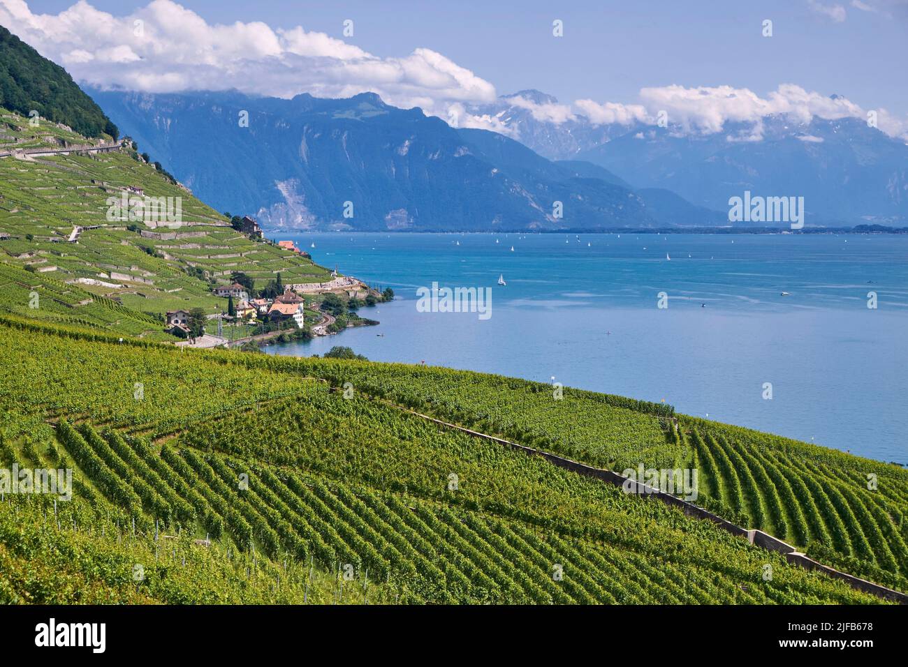 Switzerland, Canton of Vaud, Lavaux Vineyard Terraces listed as World ...
