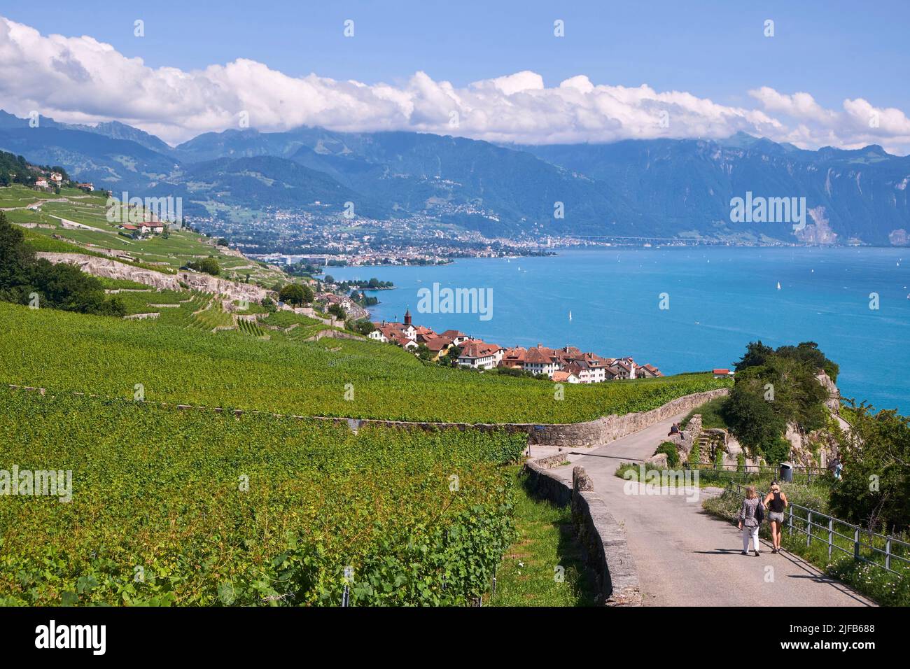 Switzerland, Canton of Vaud, Lavaux Vineyard Terraces listed as World ...