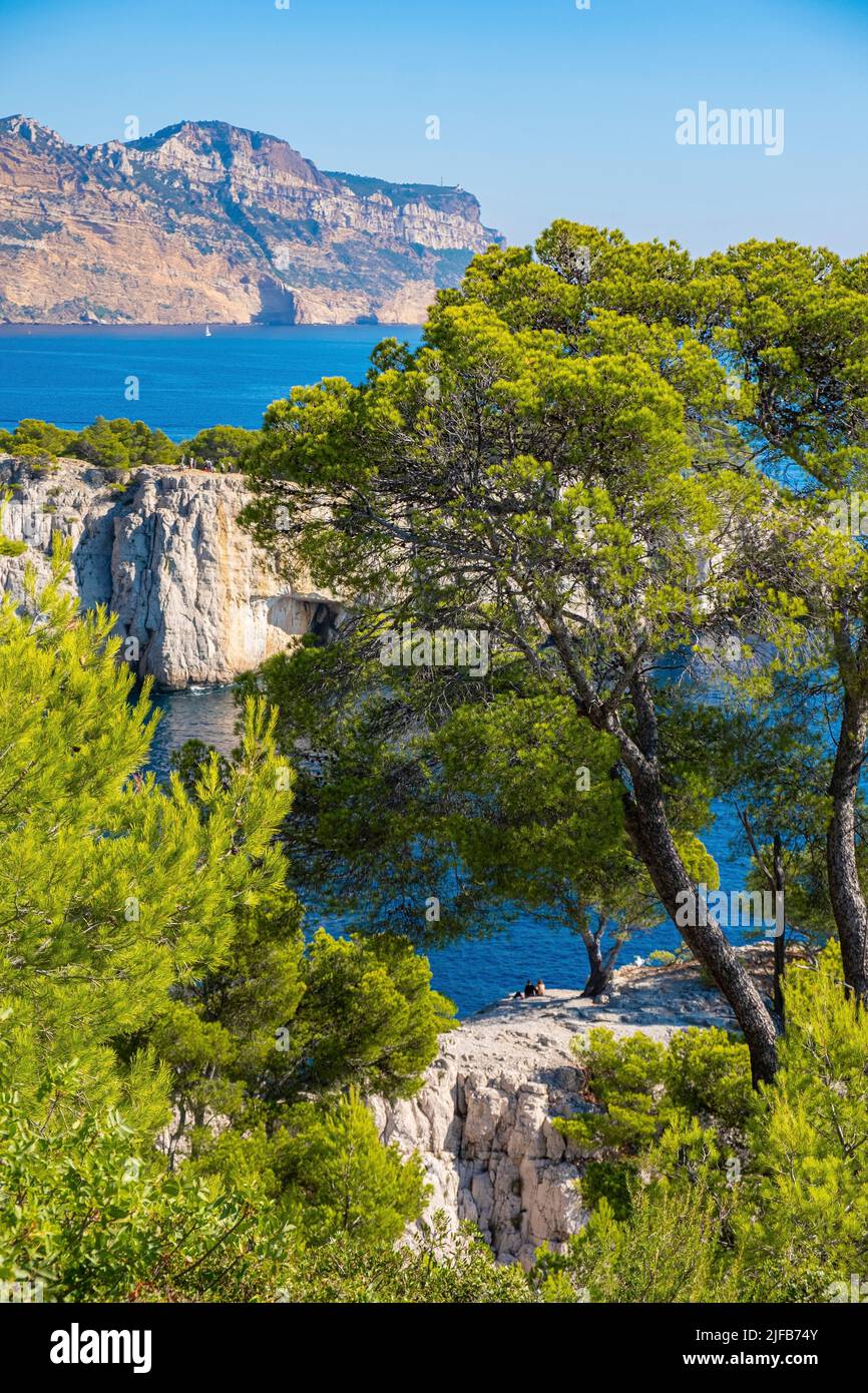 France, Bouches du Rhone, Cassis, Calanques National Park, the calanque ...