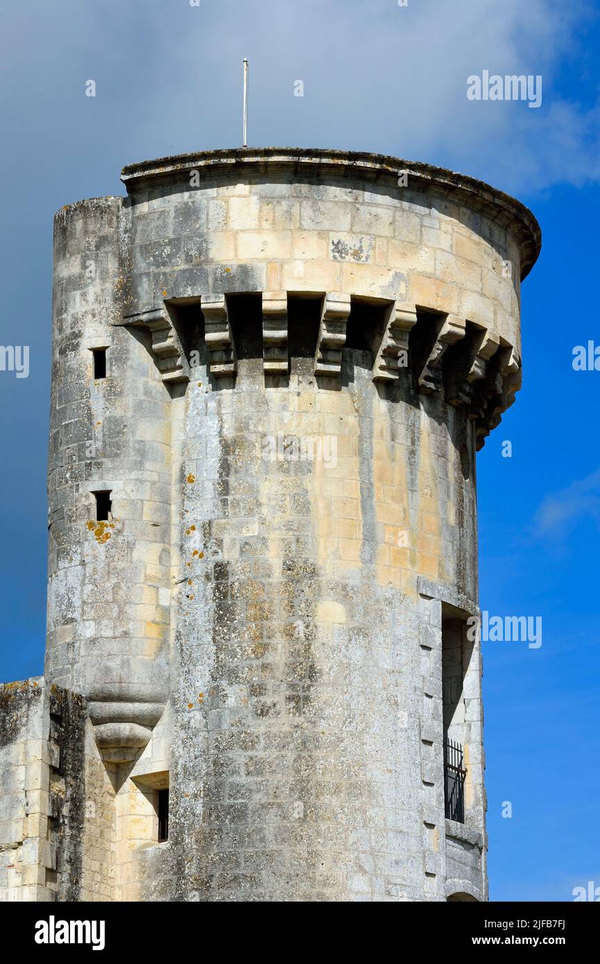 France, Charente-Maritime, Saintonge, Taillebourg, the tower is the ...