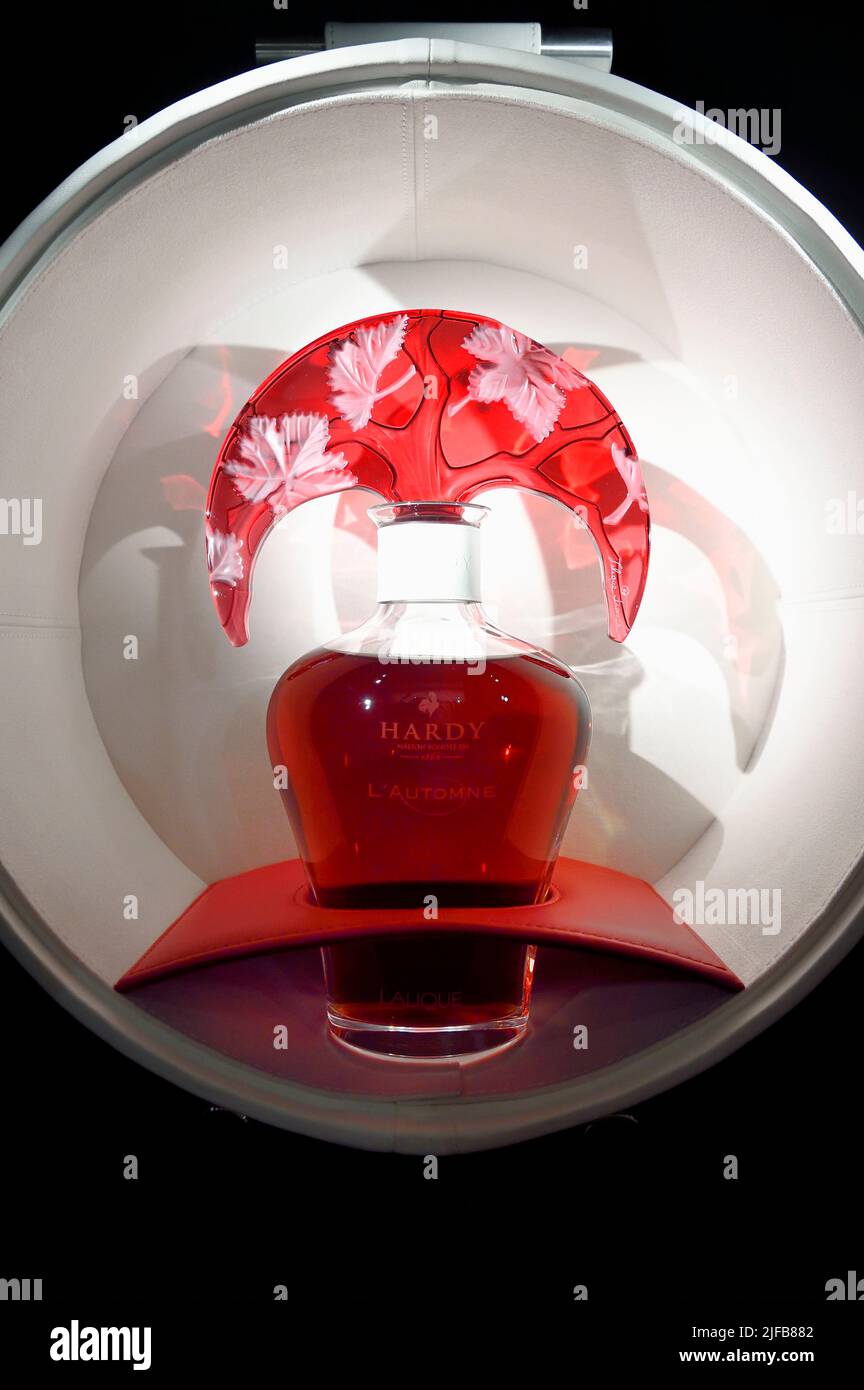 France, Charente, Cognac, Cognac Arts Museum, Autumn of Hardy Cognacs ...