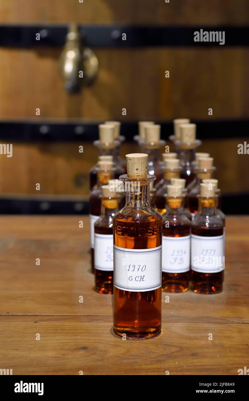France, Charente, Cognac, Hennessy cognac House aging cellars, samples ...