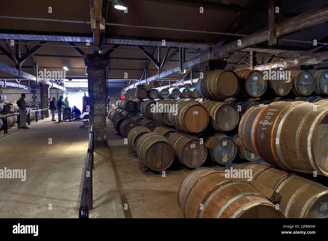 France, Charente, Cognac, barrels stored in Hennessy cognac House aging ...