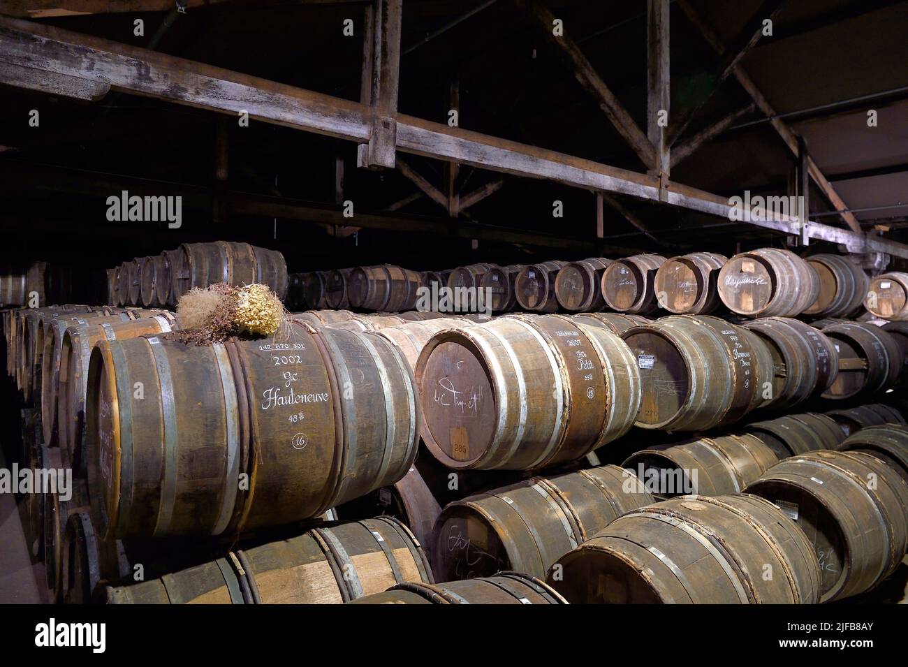 France, Charente, Cognac, barrels stored in Hennessy cognac House aging ...