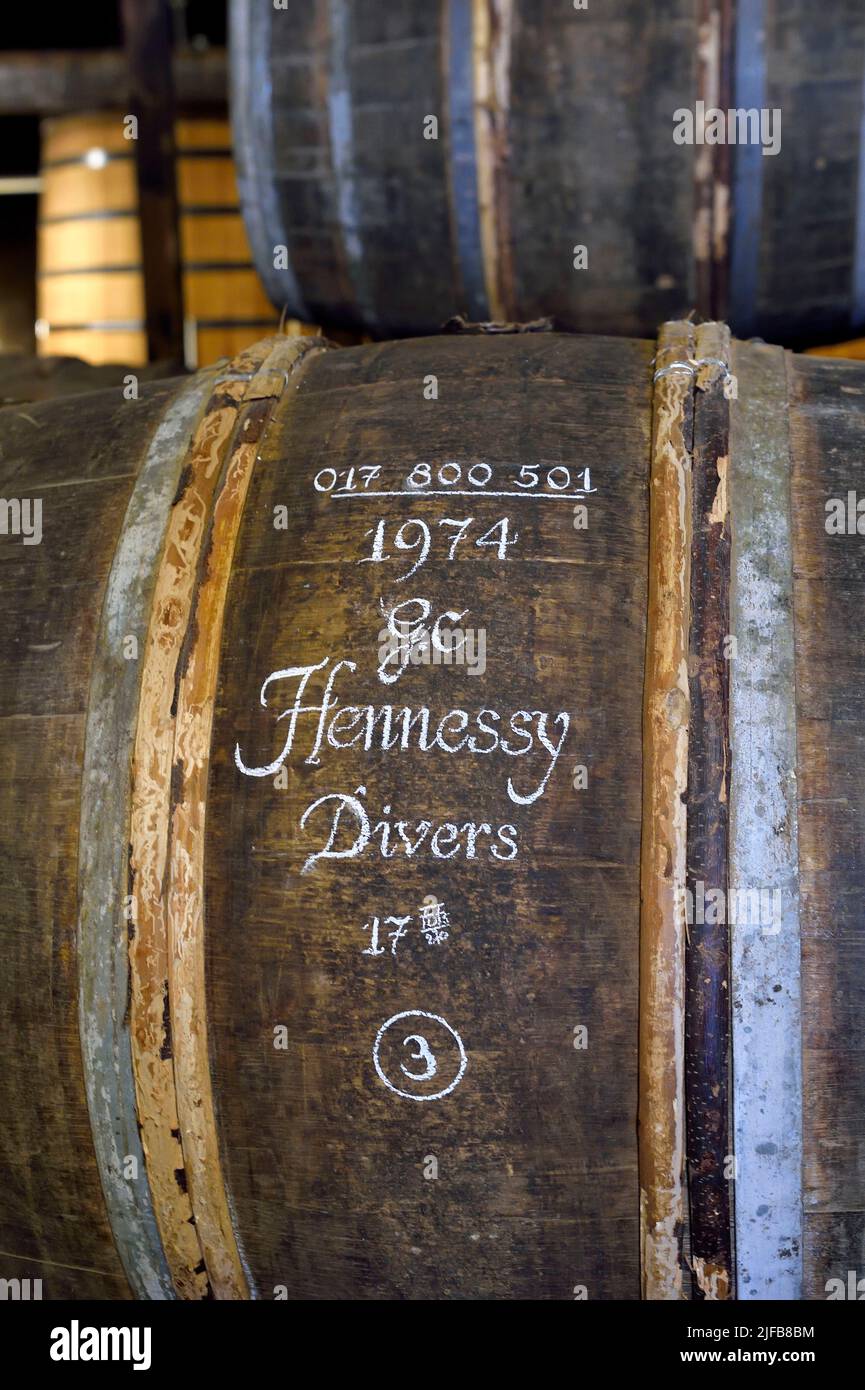 France, Charente, Cognac, Hennessy cognac House aging cellars, barrels ...
