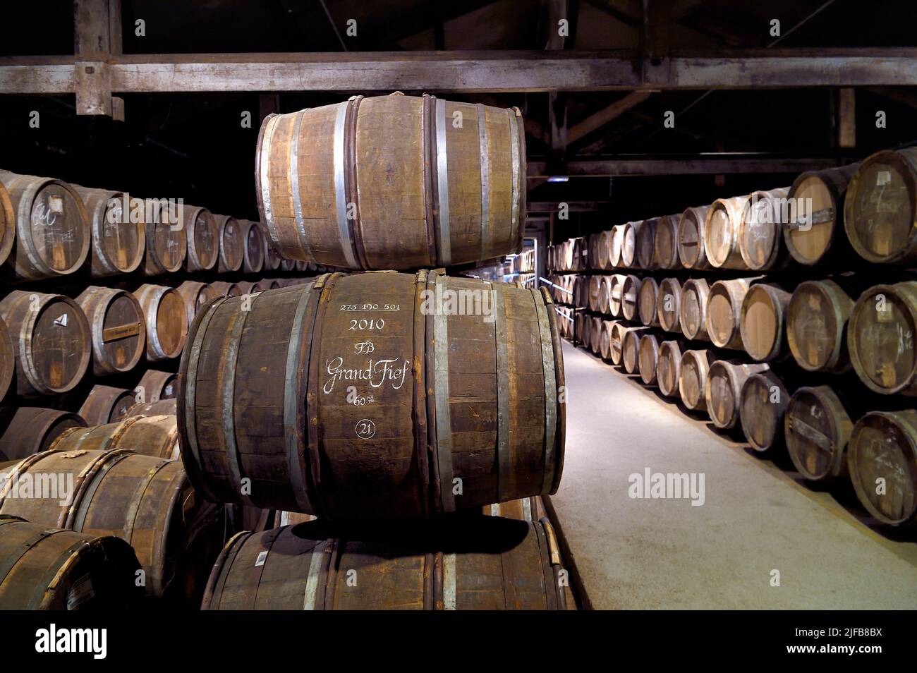 France, Charente, Cognac, barrels stored in Hennessy cognac House aging ...