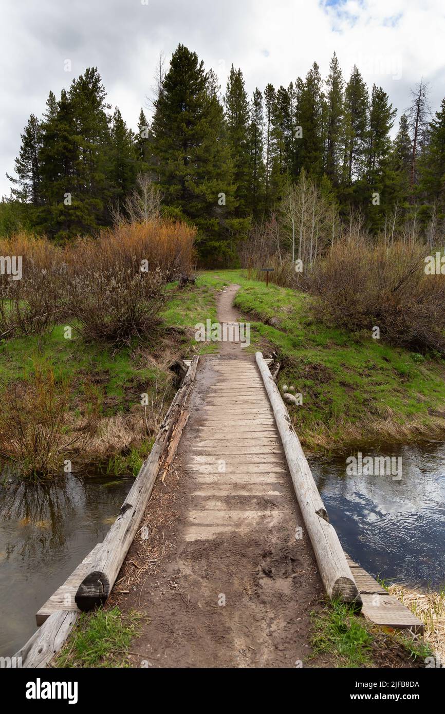 Walking Bridge over River surrounded by Trees in American Landscape ...