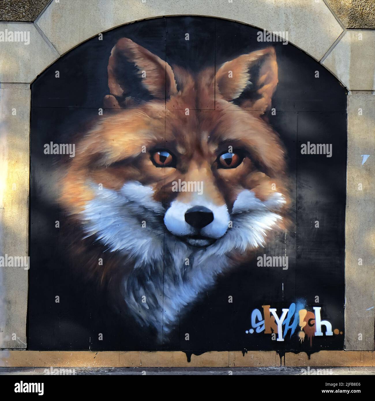 Fox drawing face hi-res stock photography and images - Alamy
