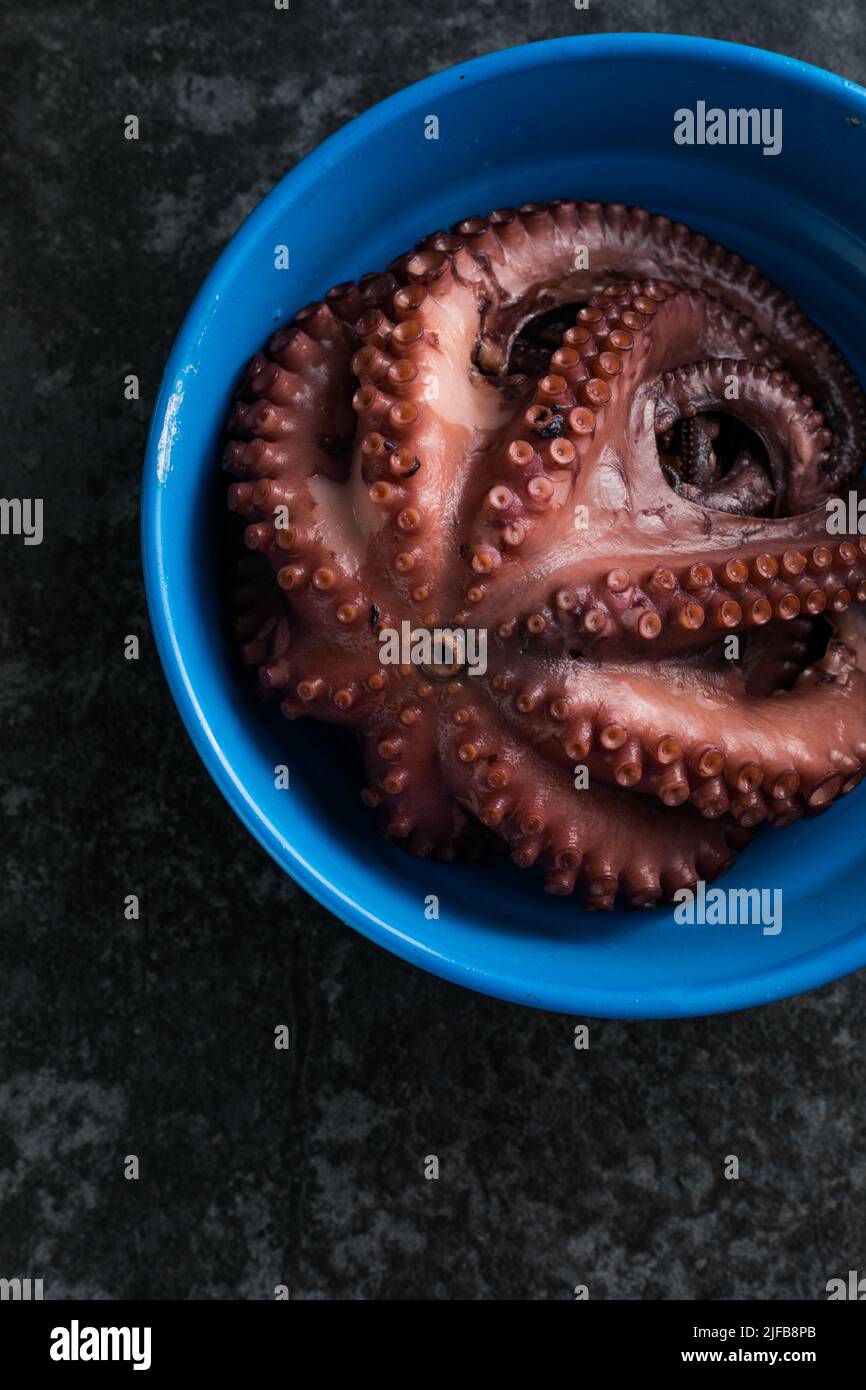 Octopus is boiled in a pot Stock Photo - Alamy