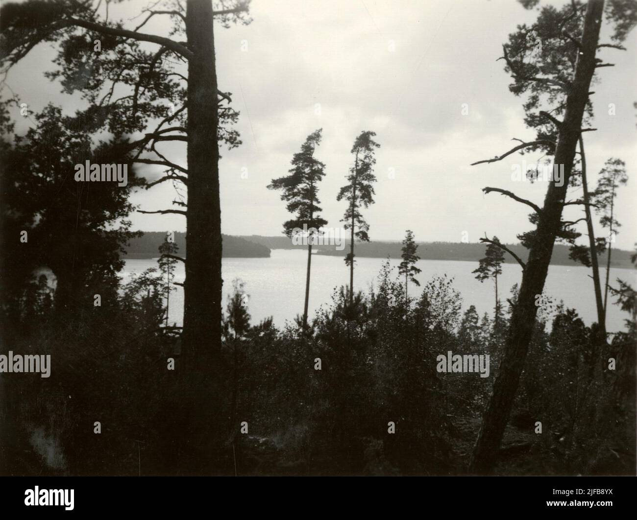 Women in service 1939-1945 Stock Photo - Alamy