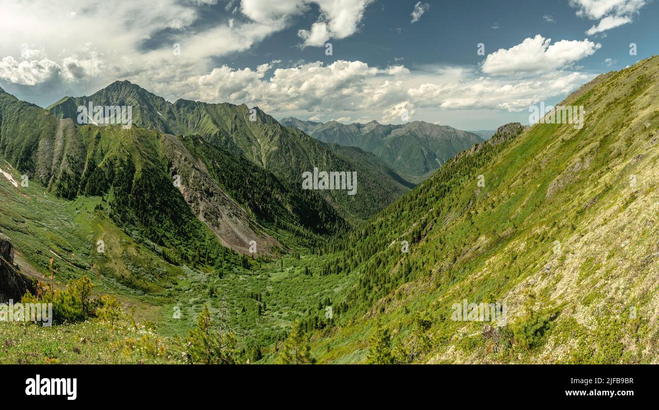 Summer landscape of a green mountain valley. The beauty of the Alpine ...