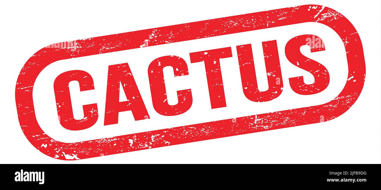 CACTUS, text written on red rectangle stamp sign Stock Photo - Alamy