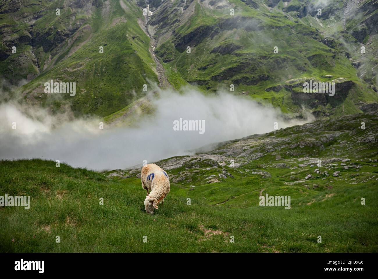 Mont perdu france hi-res stock photography and images - Alamy