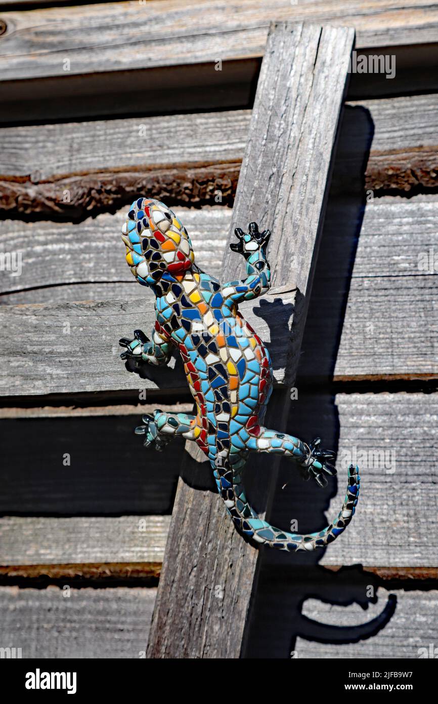 Colourful ceramic model salamander climbs up a trellis in an English ...