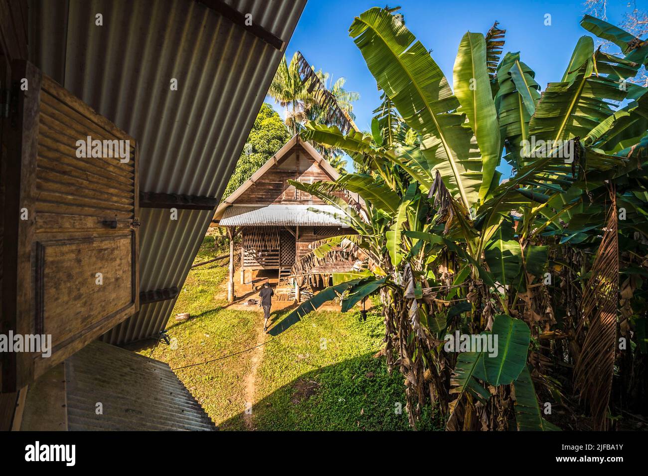 Indigenous village guyana hi-res stock photography and images - Alamy