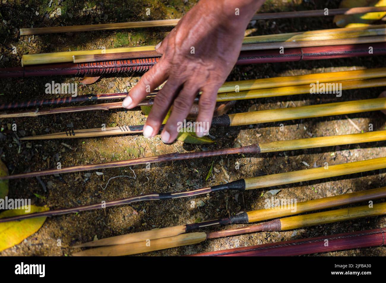 Amazonian man hunting hi-res stock photography and images - Alamy