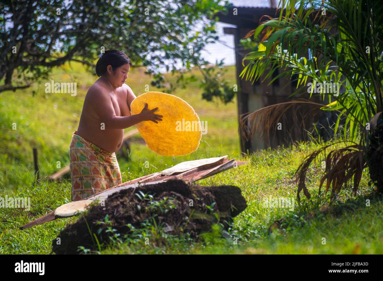 France, French Guiana, Amazonian Park, heart zone, Camopi, a Native ...