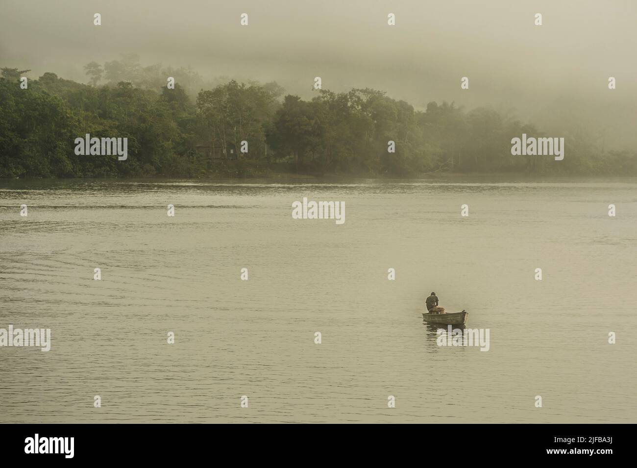 France, French Guiana, Amazonian Park, heart zone, Camopi, in the early ...