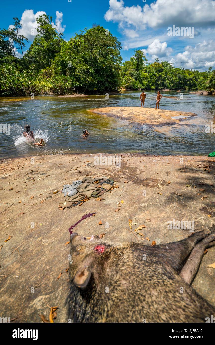 Prepare hunting hi-res stock photography and images - Alamy