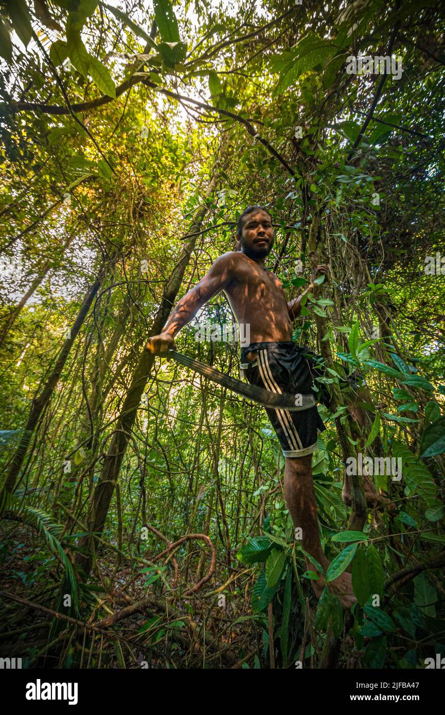 France, French Guiana, Amazonian Park, heart zone, Camopi, Amerindian ...