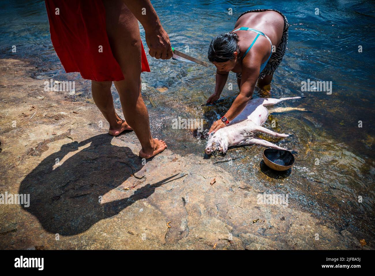 France, French Guiana, Amazonian Park, heart zone, Camopi, Wayãpi ...