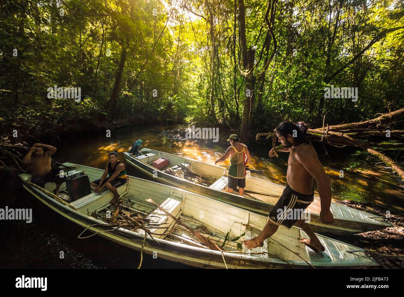 France, French Guiana, Amazonian Park, heart zone, Camopi, Amerindian ...