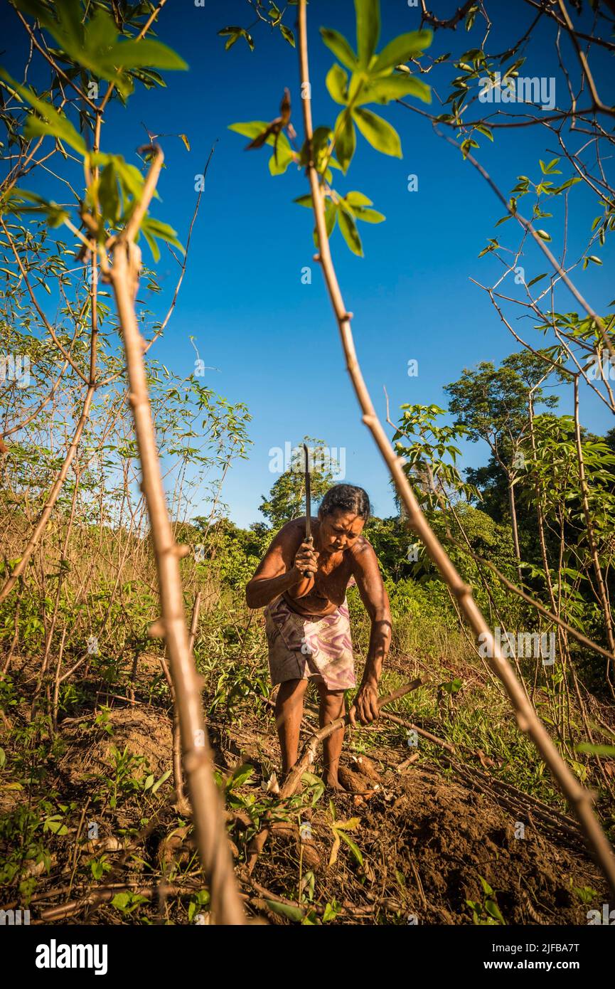 France, French Guiana, Amazonian Park, heart zone, Camopi, Native ...