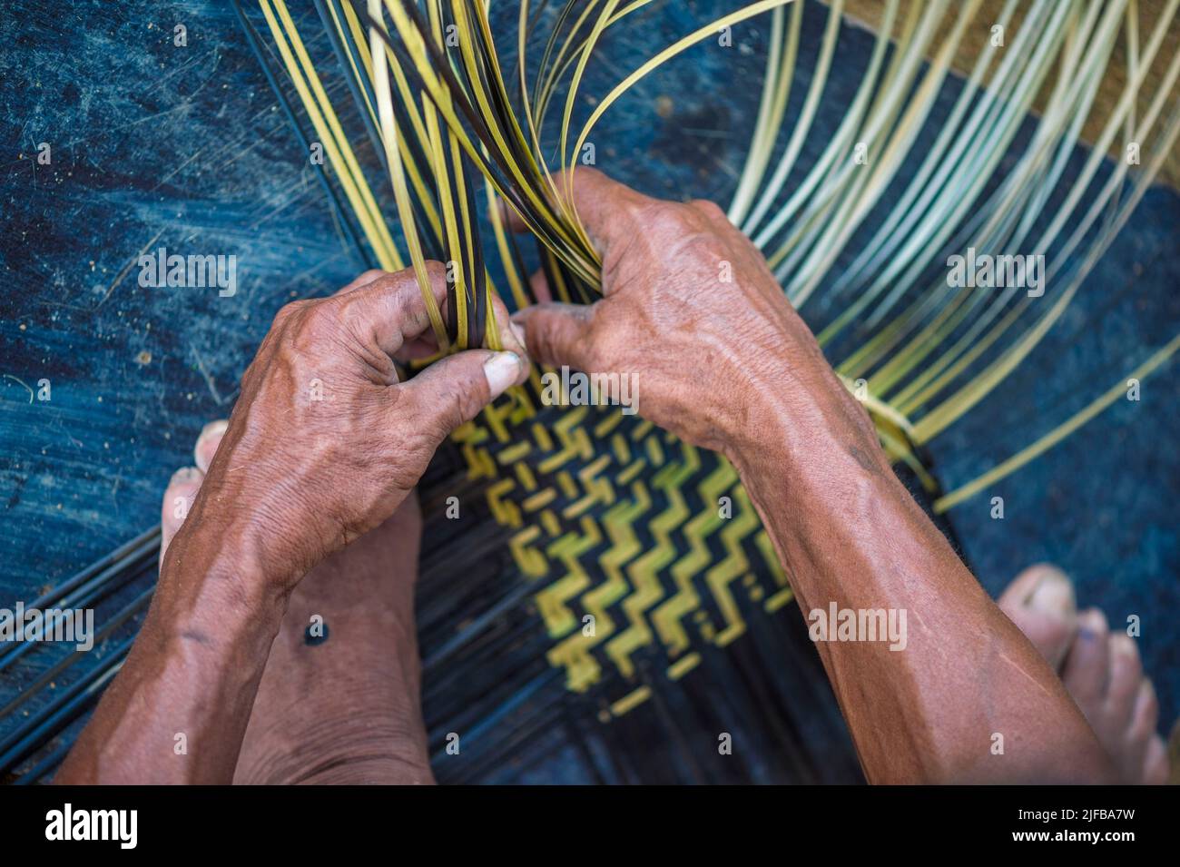 France, French Guiana, Amazonian Park, heart zone, Camopi, the ...