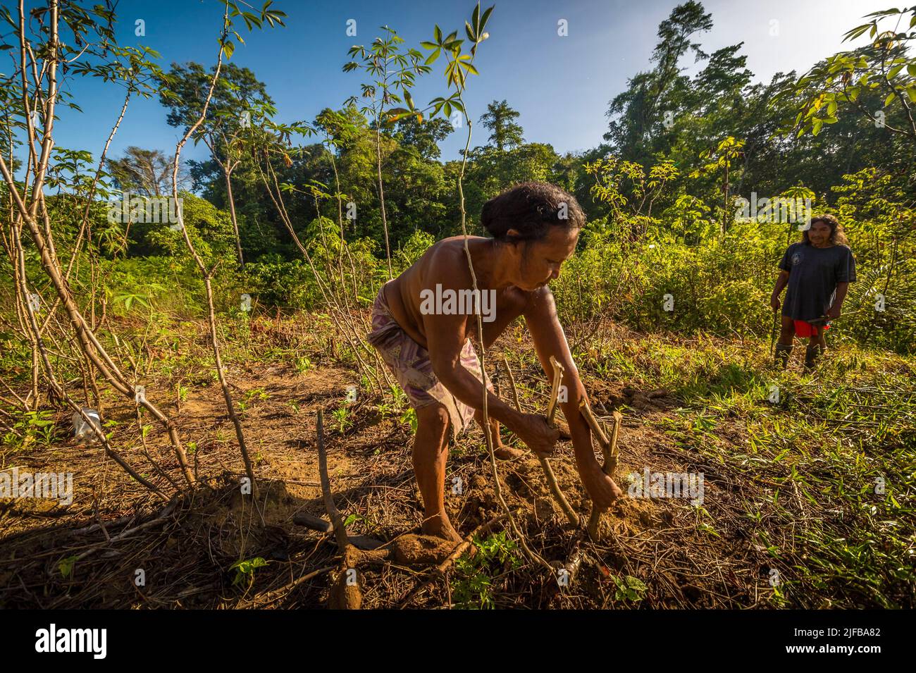 Amerindians in guyana hi-res stock photography and images - Alamy