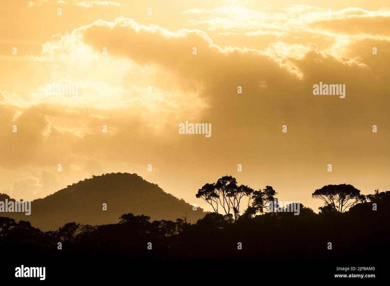France, French Guiana, Amazonian Park, heart zone, Saül, sunset over ...