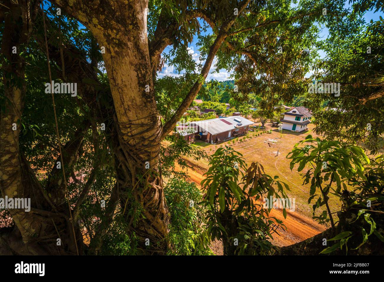 France, French Guiana, Amazonian Park, heart zone, Saül, scene of daily ...