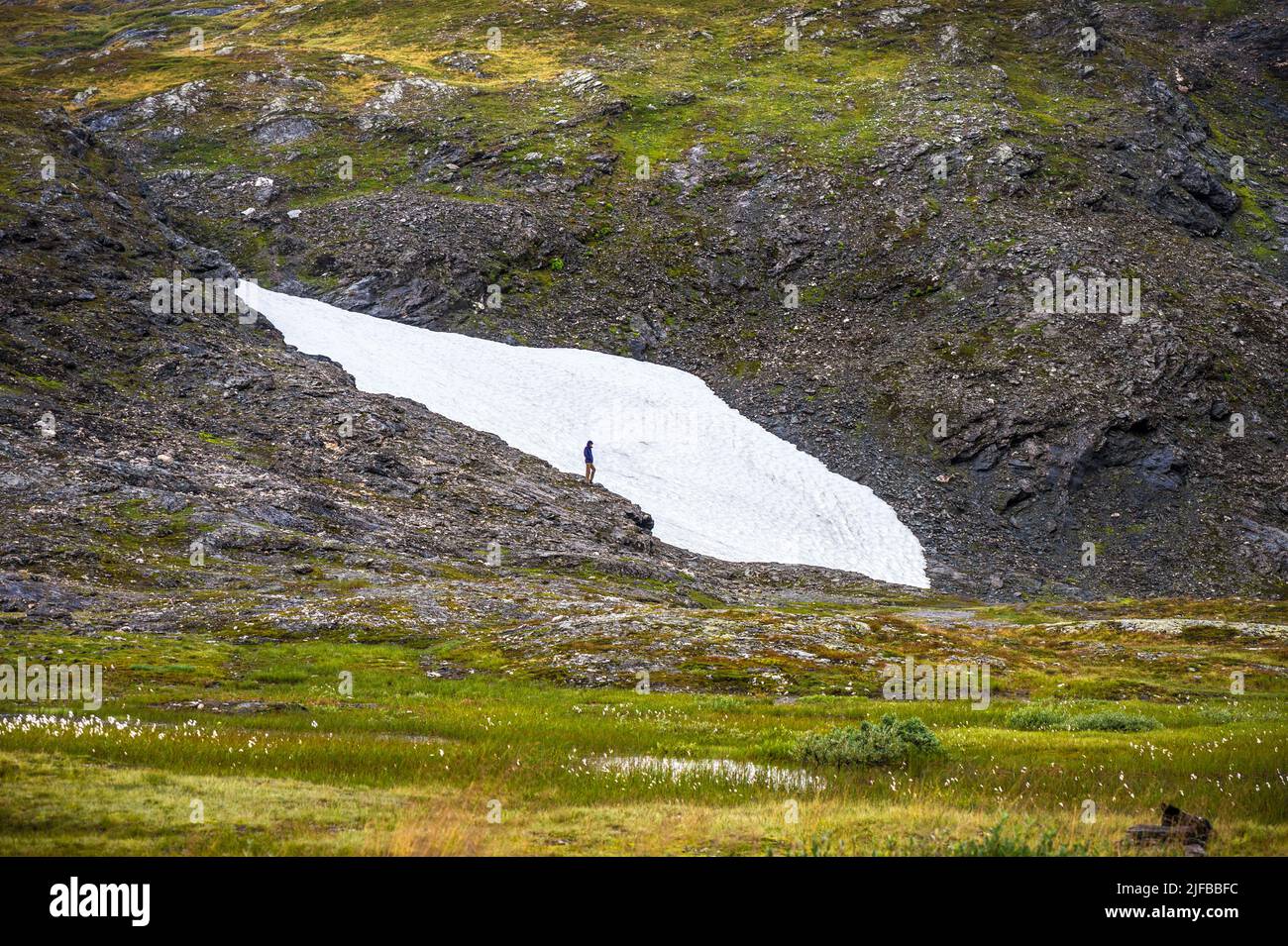Norway, On the road to the Hardangervidda high plateau between Vik and ...