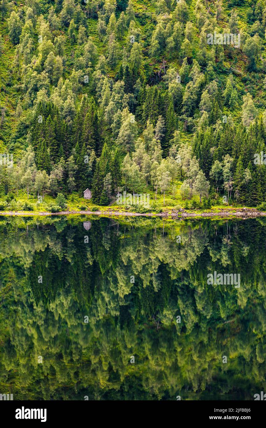 Norway, On the road to the Hardangervidda high plateau between Vik and ...