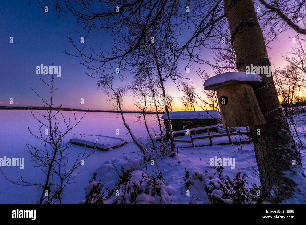 Norway, Lapland, County of Finnmark, Brattli, at the edge of the fjord ...